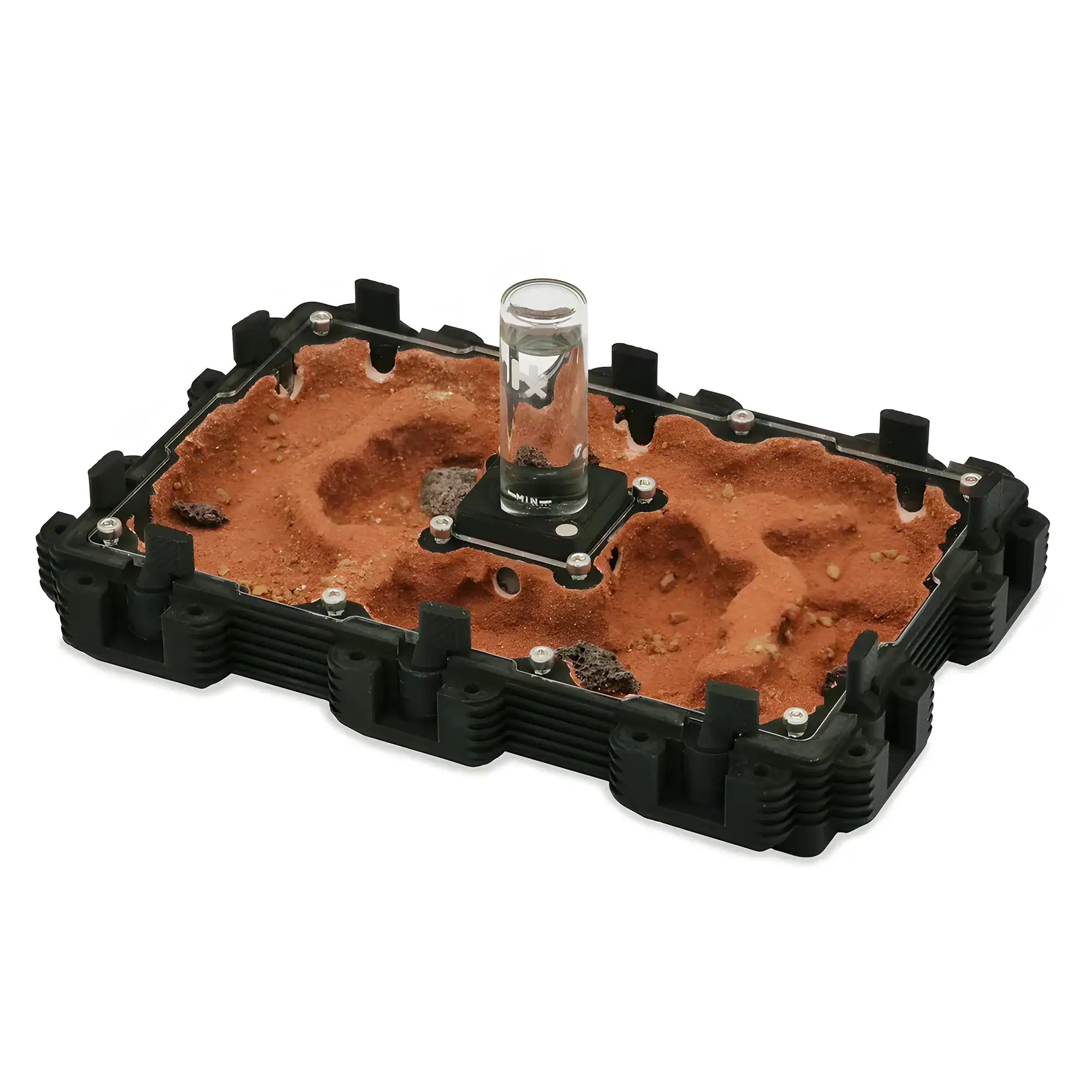 Natura Ant Nest 3:2 – Natuurgetrouw Formicarium voor Grote Kolonies